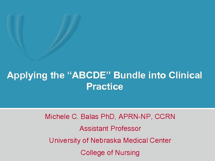 Applying the ABCDE Bundle into Clinical Practice Michele