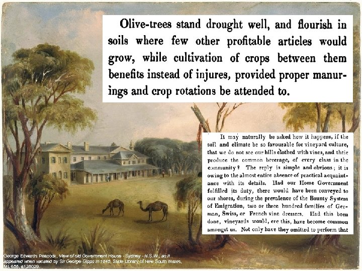 George Edwards Peacock View of old Government House