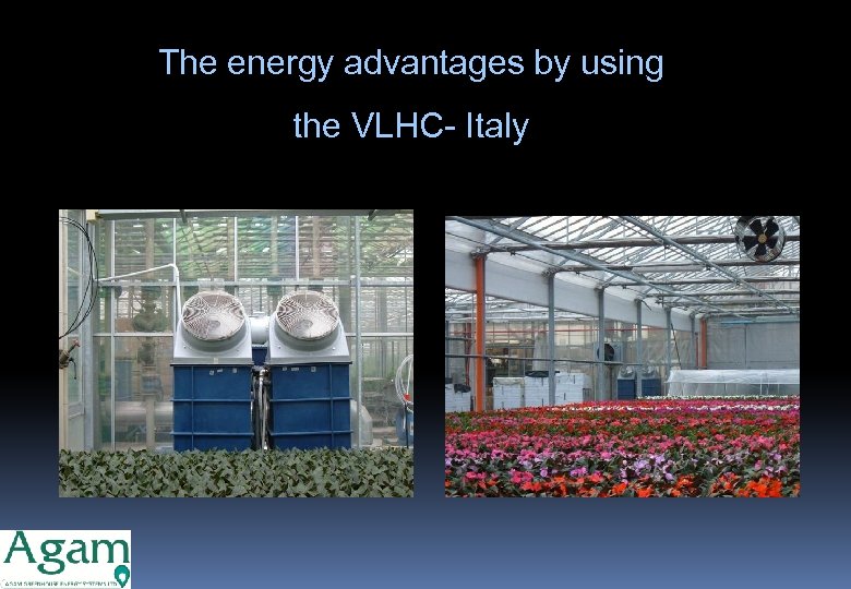 THE BACKGROUND OF AGAM The Birth of