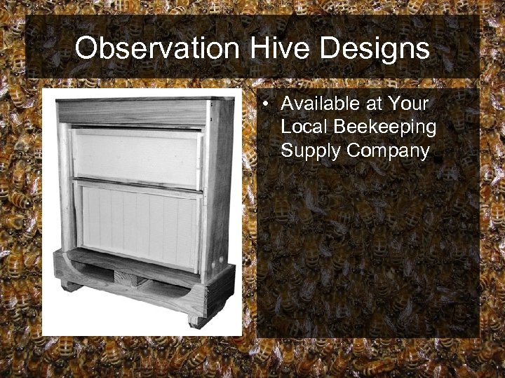 Classroom Beekeeping with Phil Kahler Tualatin Valley Academy