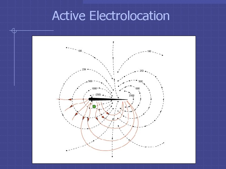 Evolvability and Sensor Evolution University of Birmingham 25