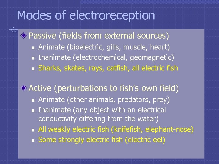 Evolvability and Sensor Evolution University of Birmingham 25