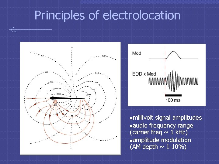 Evolvability and Sensor Evolution University of Birmingham 25