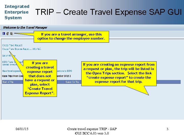 Integrated Enterprise System SAP TRIP Transaction Creating a