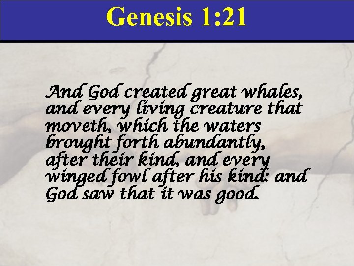 Genesis Introduction Genesis Chapter 1 Union Church Bible