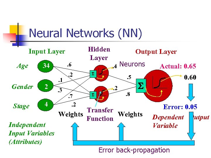 Network Ensembles Committees for Improved Classification and Regression