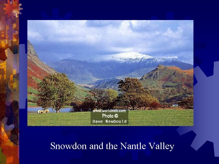 Laili Kalev Merilin Randmaa Carl Robert Jakobson