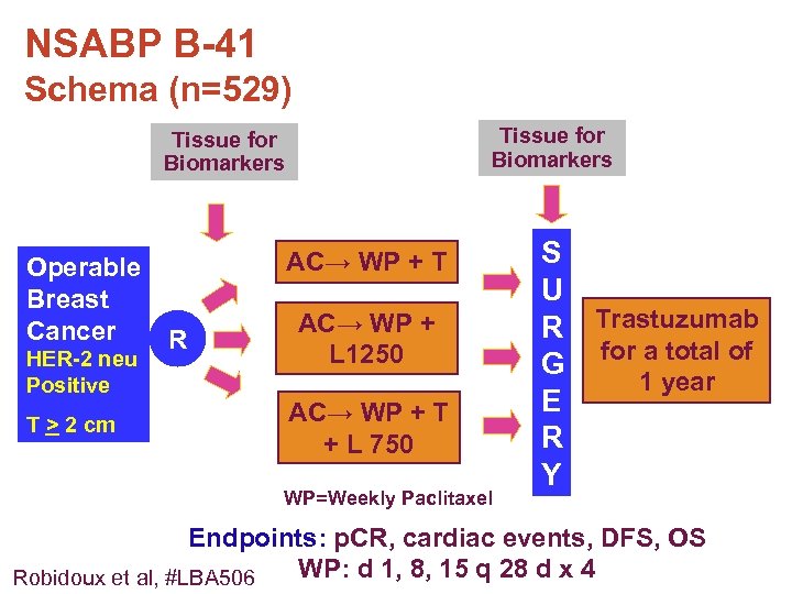 ASCO 2012 Breast Cancer Updates Hope S Rugo