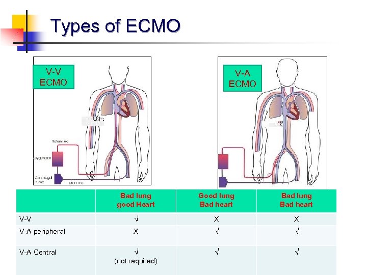 Macau Society of Emergency and Critical Care Medicine