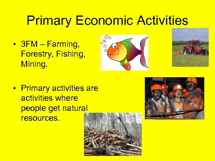 Economic Activity Many different people make their living