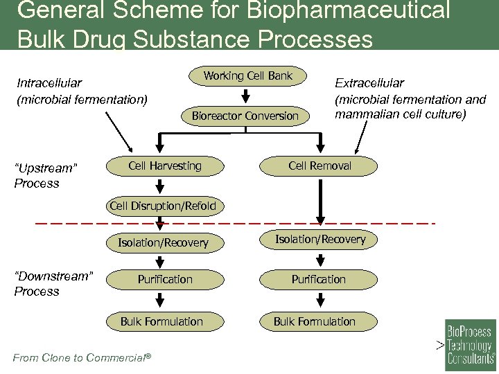 If You Build It Will They Come The