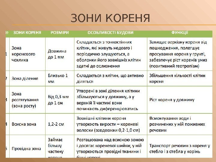 КОРІНЬ. КОРЕНЕВІ СИСТЕМИ. ВИДОЗМІНИ КОРЕНЯ. Матеріали