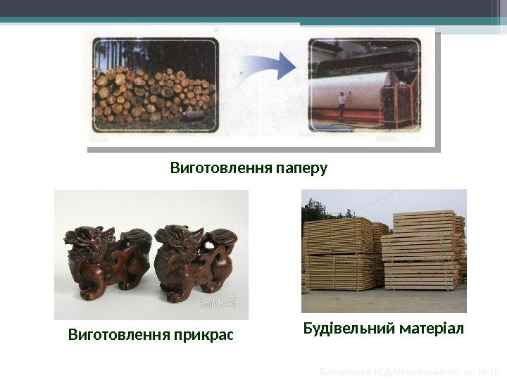 ХВОЙНІ РОСЛИНИ. ЗНАЧЕННЯ ХВОЙНИХ РОСЛИН Природознавство 3 клас